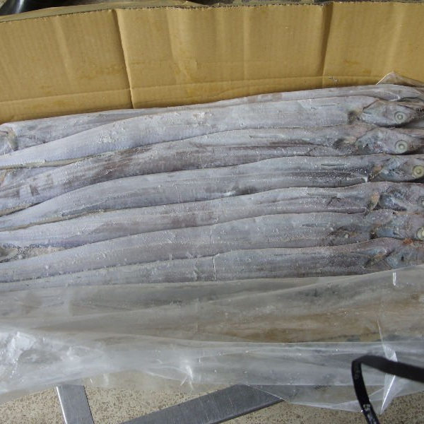 High-Quality-Frozen-Ribbon-Fish – Infinite Wave Holdings (PTY) LTD